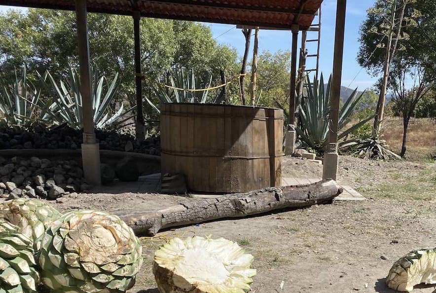 Comparte Mezcal – Comparte Mezcal